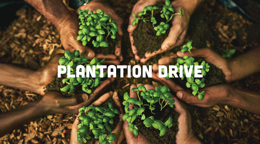 Plantation Drive | Alliance University