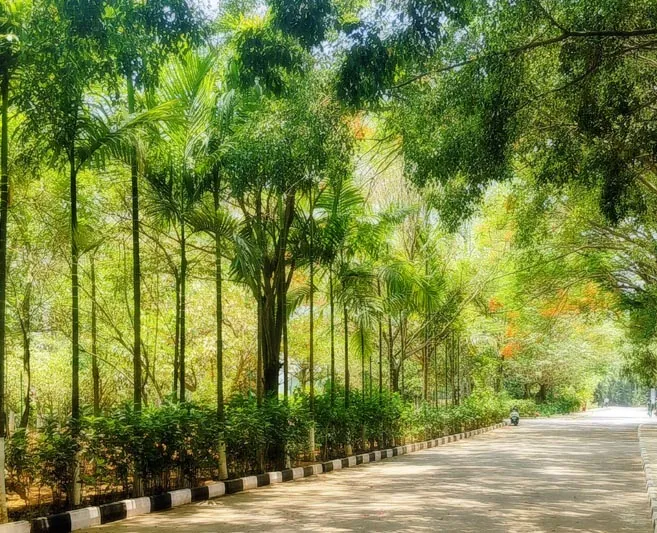 Green & Grey Photography Contest Encourages Creative Perspectives at ...
